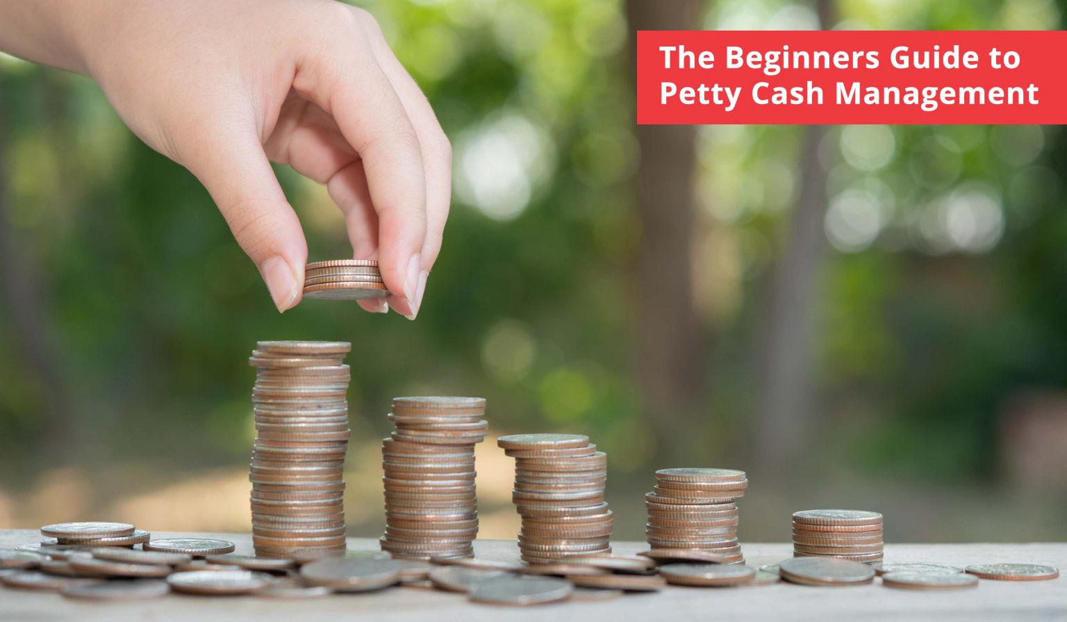 The Beginners Guide To Petty Cash Management Www zaggleems the-beginners-guide-to-petty-cash-management-www-zaggleems